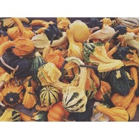 Milk Pail Farms - Watermill, NY