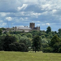 Verulamium Park - 23 tips