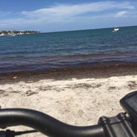 Virginia Key MTB Trails - Hiking Trail in Miami