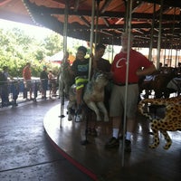 Houston Zoo Carousel - Medical Center - Houston, TX