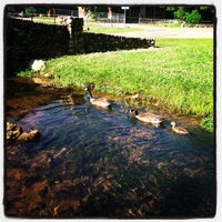 Cave Spring, Georgia - 4 tips from 377 visitors