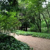 Codornices Park - Berkeley Hills - 18 tips from 1027 visitors