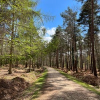New Forest National Park - 20 tips from 2040 visitors