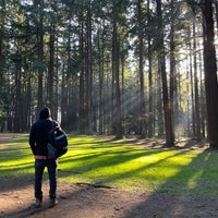 Pier Park Disc Golf Course - 8660 N Columbia Blvd
