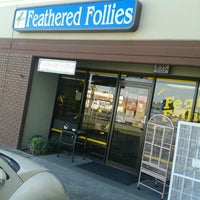 Feathered Follies - 3 tips