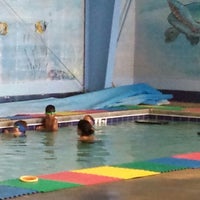 SwimAtlanta - Swimming Pool