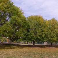 Ketring Park - Sheppard & Lakeview
