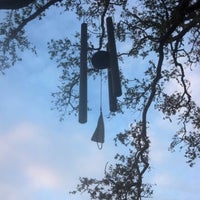 City Park: Wind Chime Tree - Tree in City Park