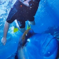 Reef Magic Cruise - 1 Spence Street