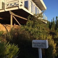 Old Mac Daddy - Resort