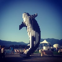 Digital Orca - Coal Harbour - 8 tips from 891 visitors