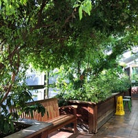 Butterfly Garden at the Museum of Science, Boston - East Cambridge - 5 tips