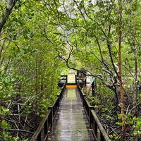 Pranburi National Forest Park - Forest