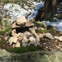 Douglas State Forest - Forest