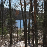 Douglas State Forest - Forest