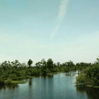 Bayou Segnette State Park - State / Provincial Park in Westwego