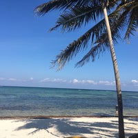 Bahía Punta Soliman - 5 tips from 192 visitors