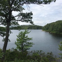 Sunfish Pond - 5 tips from 179 visitors