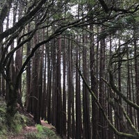 Steep Ravine Trail - 1 tip from 211 visitors