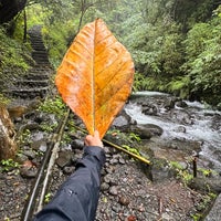 Gitgit Waterfall - 43 tips