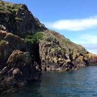Skomer Island - 4 tips from 31 visitors