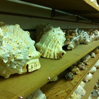 Sea Shell Shop - 119 Rehoboth Ave