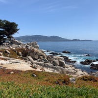 Pescadero Point - 4 tips from 1163 visitors