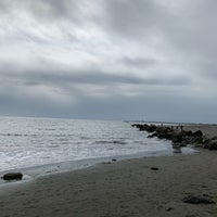 Damon Point State Park - Beach in Ocean Shores