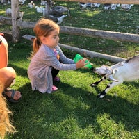 The Friendly Farm - Farm