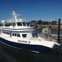 Dolphin Fleet Whale Watch - 21 tips from 1441 visitors