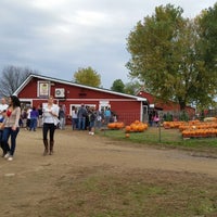 McCray's Farm and Country Creamery - Farm in South Hadley