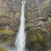 Multnomah Falls - 186 tips from 21903 visitors