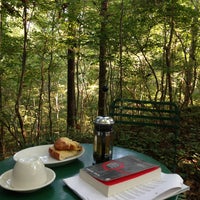 Caffe Driade - Coffee Shop