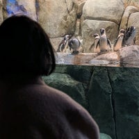 Greensboro Science Center - 45 tips from 2179 visitors