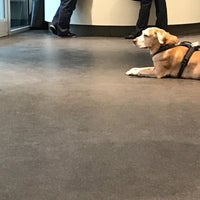 Ryan Veterinary Hospital of the University of Pennsylvania - University ...