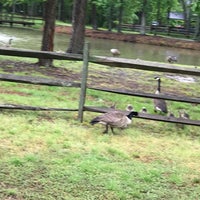 Prospect Bay Country Club - Golf Course in Grasonville