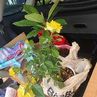 Flower Power Enfield Cafe | Best Flower Site