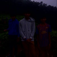 Rindu Alam - Puncak Pass - Bogor, Jawa Barat