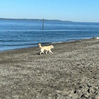 Edmonds Off-Leash Dog Park - Dog Park