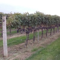 Auburn Road Vineyard & Winery - 10 tips from 513 visitors