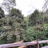 Gitgit Waterfall - 43 tips