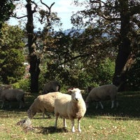 One Tree Hill Domain - Park