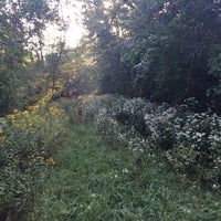 Red Gate Woods - 2 tips from 152 visitors