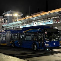 MTA Bus - Q3/Q10/Q10LTD/B15 (JFK Airport-Terminal 5) - Bus Line in Jamaica