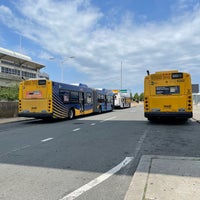 MTA Bus - Q3/Q10/Q10LTD/B15 (JFK Airport-Terminal 5) - Bus Line in Jamaica