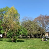 Peckham Rye Common - 24 tips