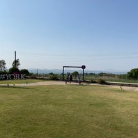 York Winery Pvt. Ltd. - Vineyard in Nashik