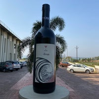 York Winery Pvt. Ltd. - Vineyard in Nashik