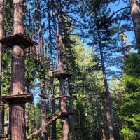Tahoe Tree Top Adventures - 7 tips from 251 visitors