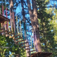 Tahoe Tree Top Adventures - 7 tips from 251 visitors